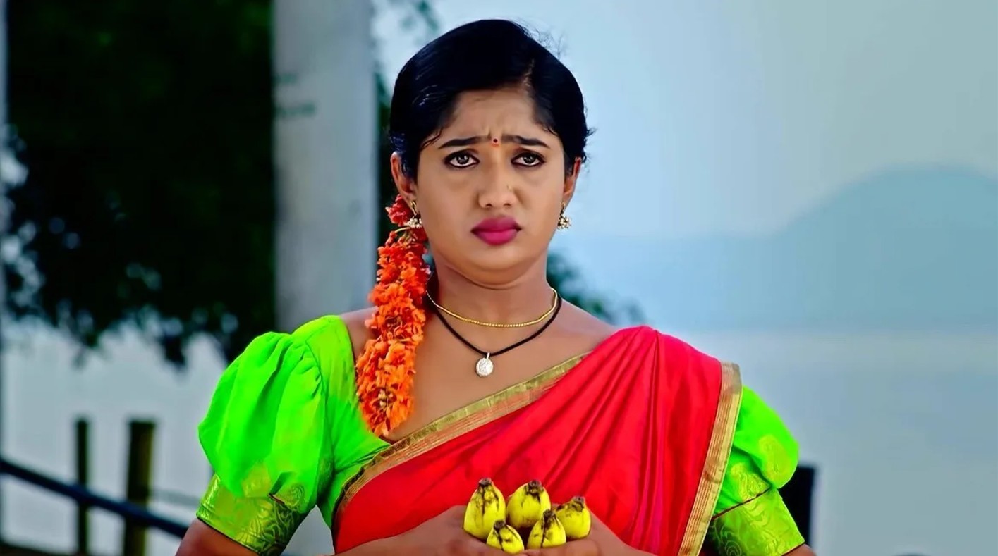 Padamati Sandhya Raagam: A Beautiful Saga of Family, Culture, and ...